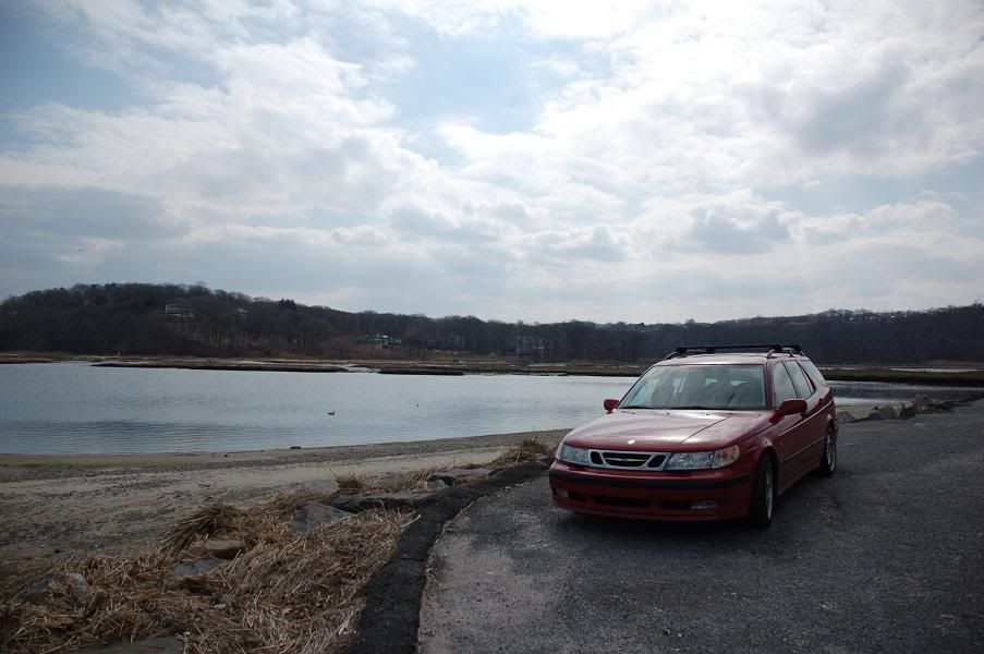 Random picture | SaabCentral Forums