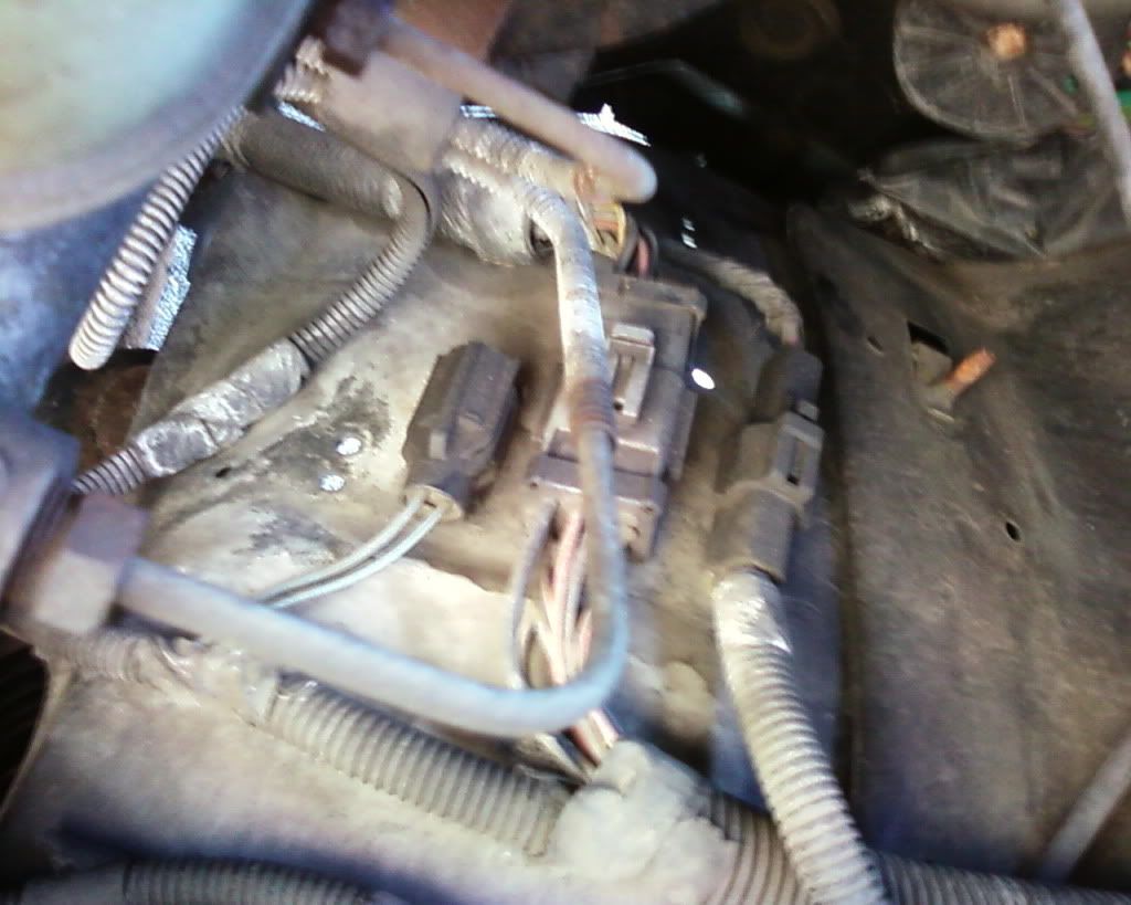 Found some weird things under my hood | The Ranger Station