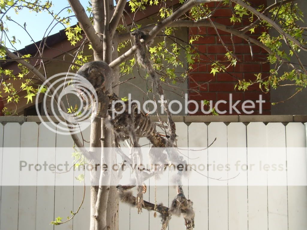 undead monkey | Page 2 | Halloween Forum