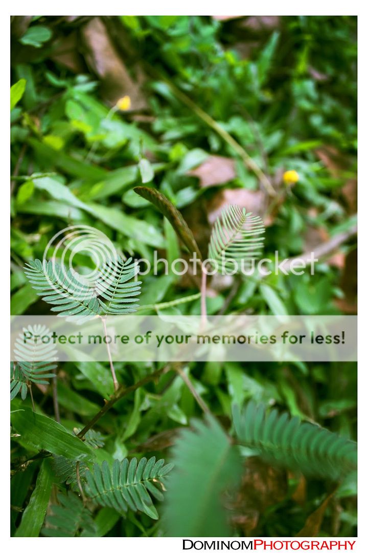 mga kuha ko under Leysamfoto :) | DOMINOM|PHOTOGRAPHY