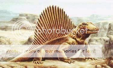 Dimetrodon - JungleKey.fr Image