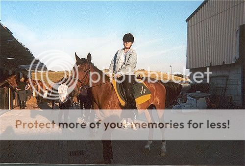 Manege Jaap Jonker Katwijk Z-H • Bokt.nl