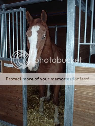 Manege Jaap Jonker Katwijk Z-H • Bokt.nl