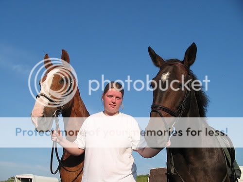 Manege Jaap Jonker Katwijk Z-H • Bokt.nl