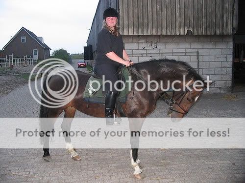 Manege Jaap Jonker Katwijk Z-H • Bokt.nl