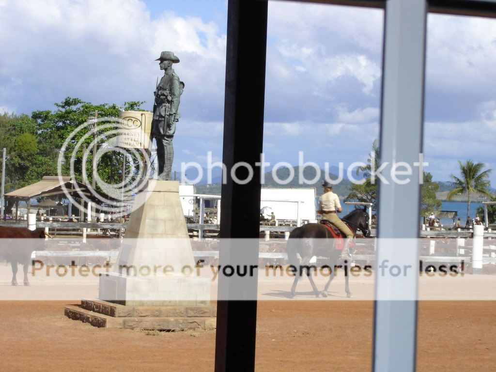 Stop. Revive. Survive.