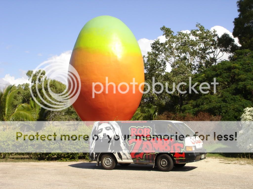 Stop. Revive. Survive.