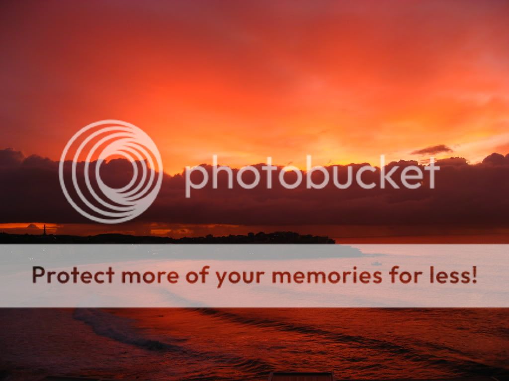 Stop. Revive. Survive.