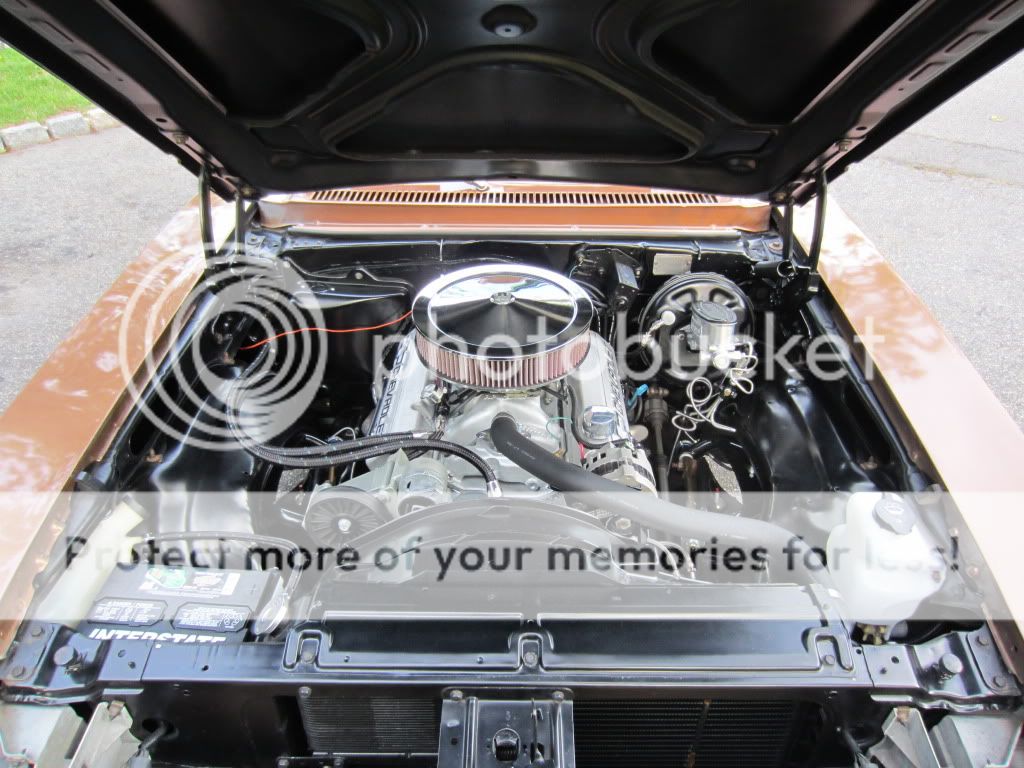 Some recent pics of the 79 nova. | Chevy Nova Forum