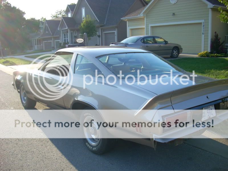 REAR SPOILER ON 73-77 Chevelle/Malibu? | Team Chevelle