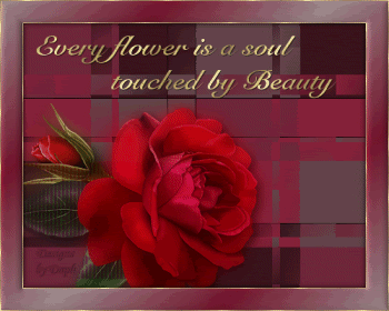 Butterfly kiss - poet at allpoetry