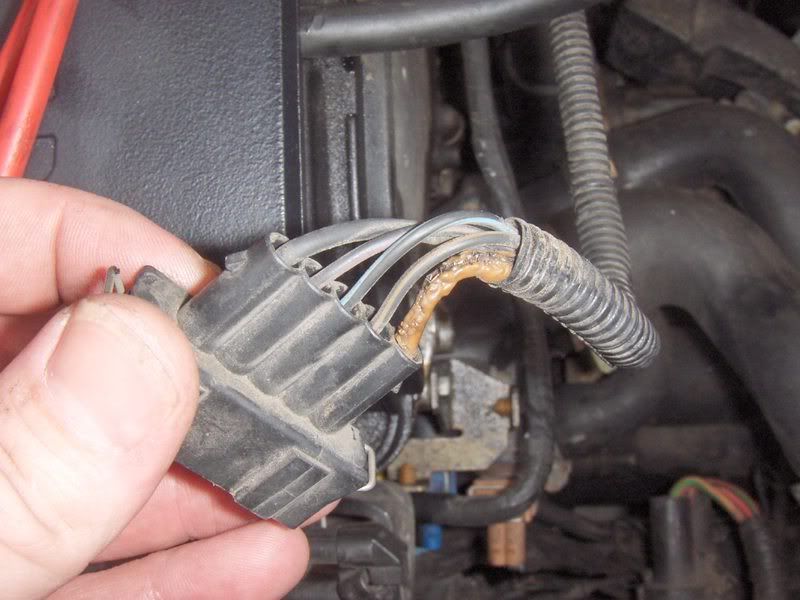 MAIN wire harness (vr6, brown wire) | Page 2 | VW Vortex - Volkswagen Forum